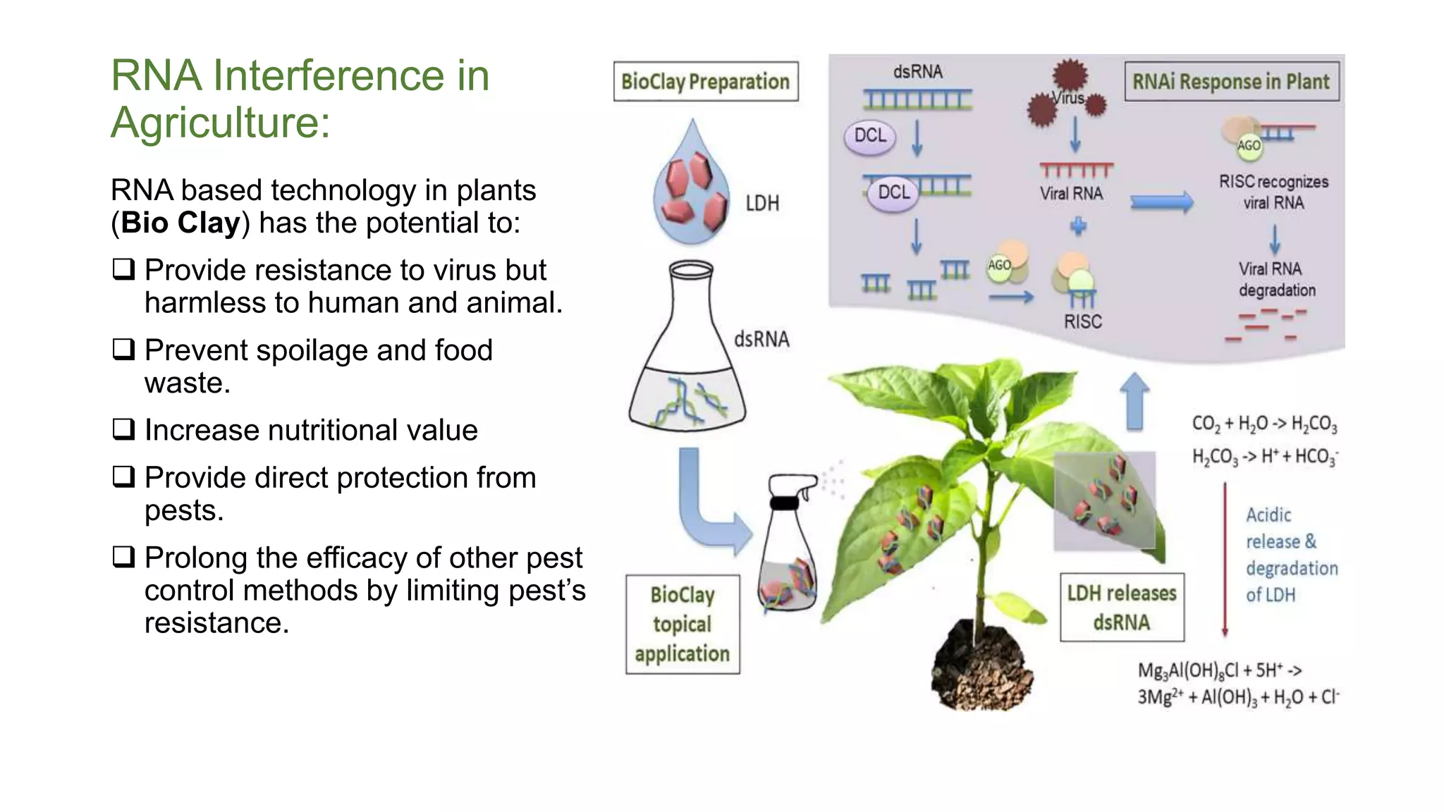RNA Interference.pptx