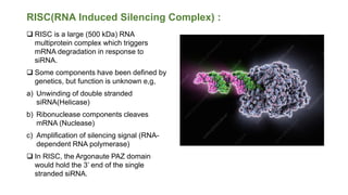 RNA Interference.pptx