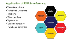 RNA Interference.pptx