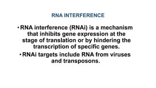 RNA Interference.pptx