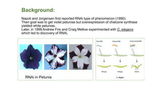 RNA Interference.pptx