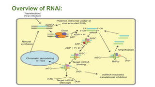 RNA Interference.pptx