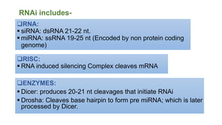 RNA Interference.pptx