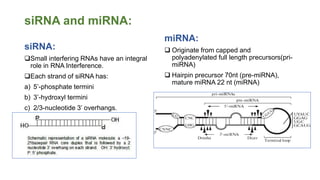 RNA Interference.pptx