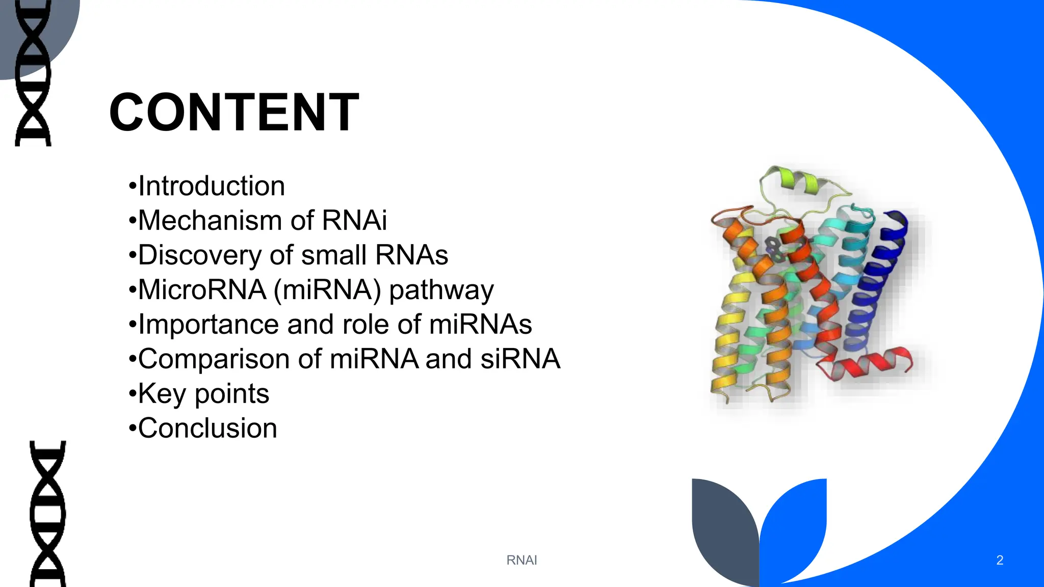 RNA INTERFERENCE: UNRAVELING GENETIC SILENCING | PPTX
