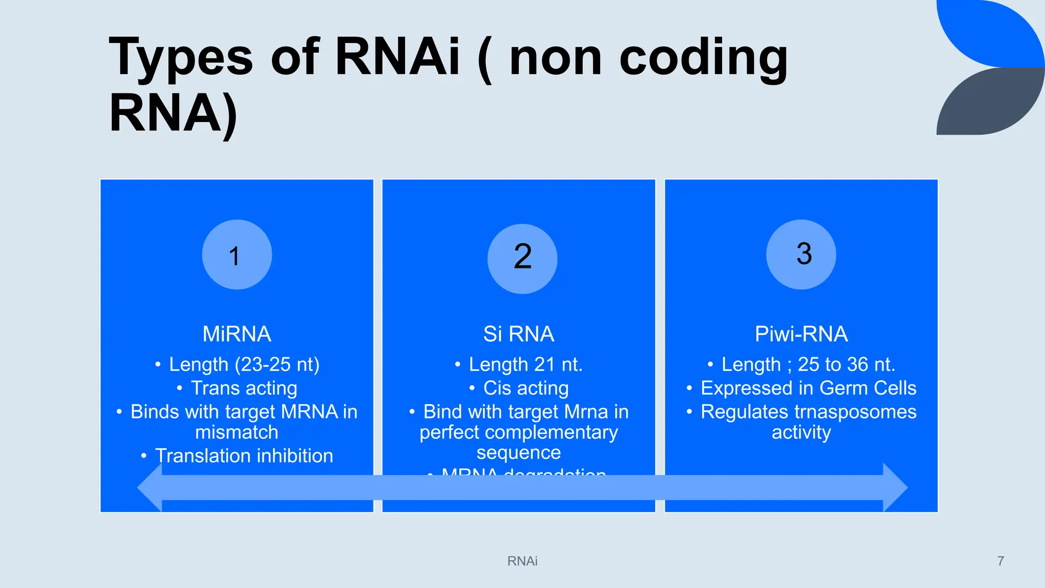 RNA INTERFERENCE: UNRAVELING GENETIC SILENCING | PPTX | Programming Languages | Computing