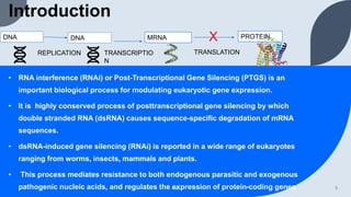 RNA INTERFERENCE: UNRAVELING GENETIC SILENCING | PPTX