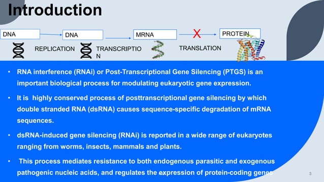 RNA INTERFERENCE: UNRAVELING GENETIC SILENCING | PPTX | Programming Languages | Computing