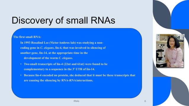 RNA INTERFERENCE: UNRAVELING GENETIC SILENCING | PPTX | Programming Languages | Computing