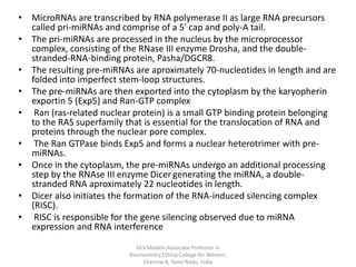 RNA Interference- Gene Regulation/ Si RNA /miRNA | PDF