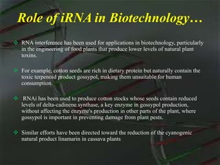 RNA Interference (RNAi) and RNA Induced Gene Silencing | PPTX