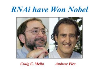 RNA Interference (RNAi) and RNA Induced Gene Silencing | PPTX