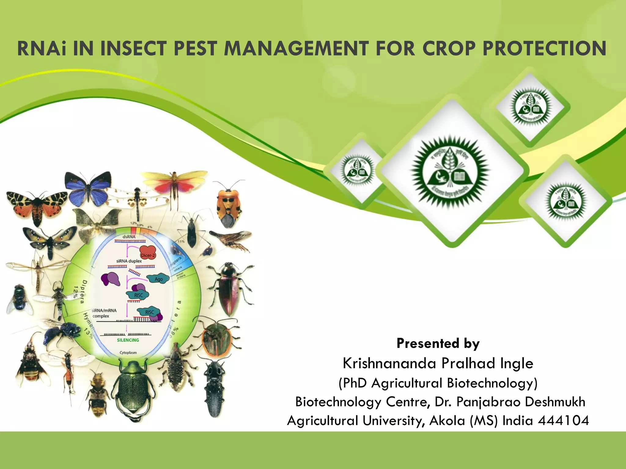 Rna interference in insect pest management | PDF