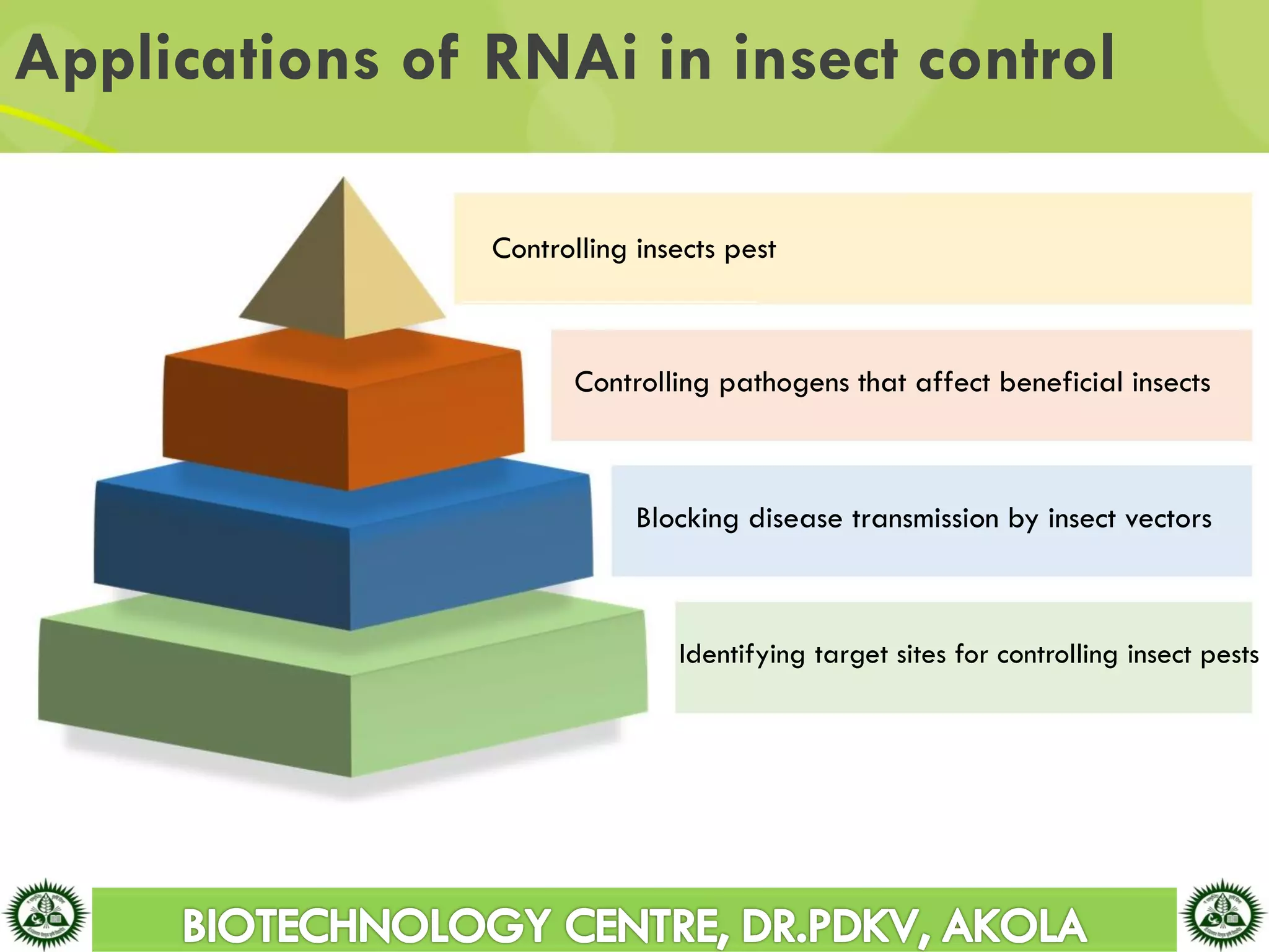 Rna interference in insect pest management | PDF