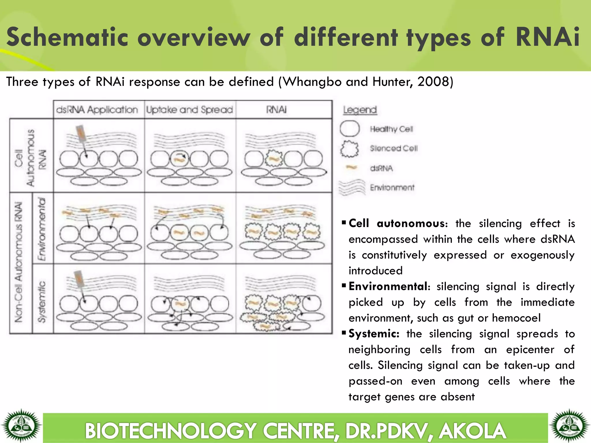 Rna Interference In Insect Pest Management Pdf