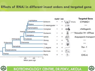 Rna interference in insect pest management | PDF