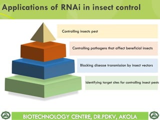 Rna interference in insect pest management | PDF