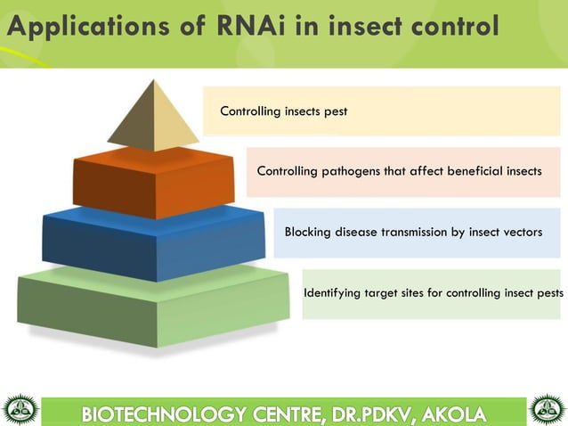 Rna Interference In Insect Pest Management Pdf