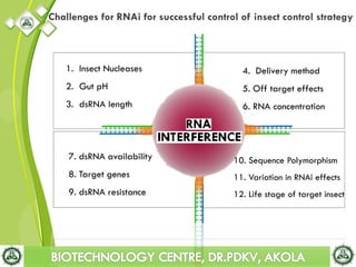Rna interference in insect pest management | PDF