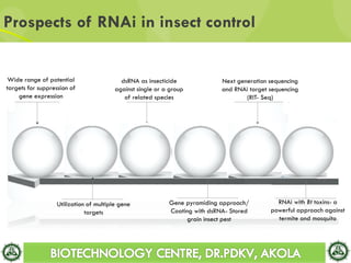 Rna interference in insect pest management | PDF