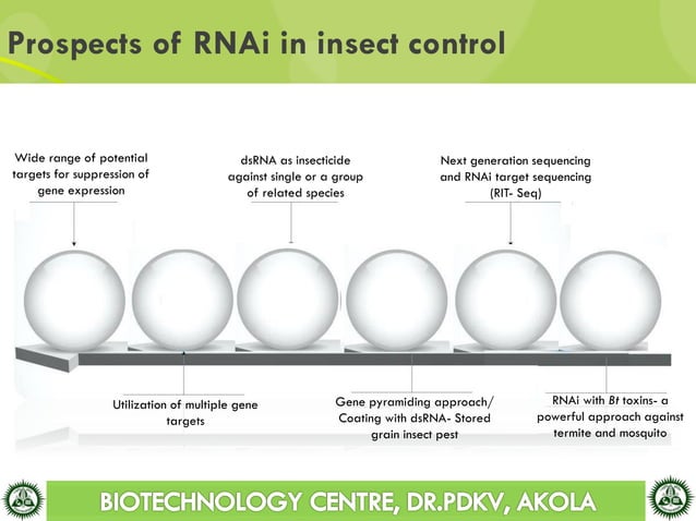 Rna interference in insect pest management | PDF