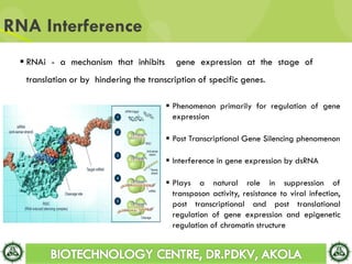 Rna interference in insect pest management | PDF