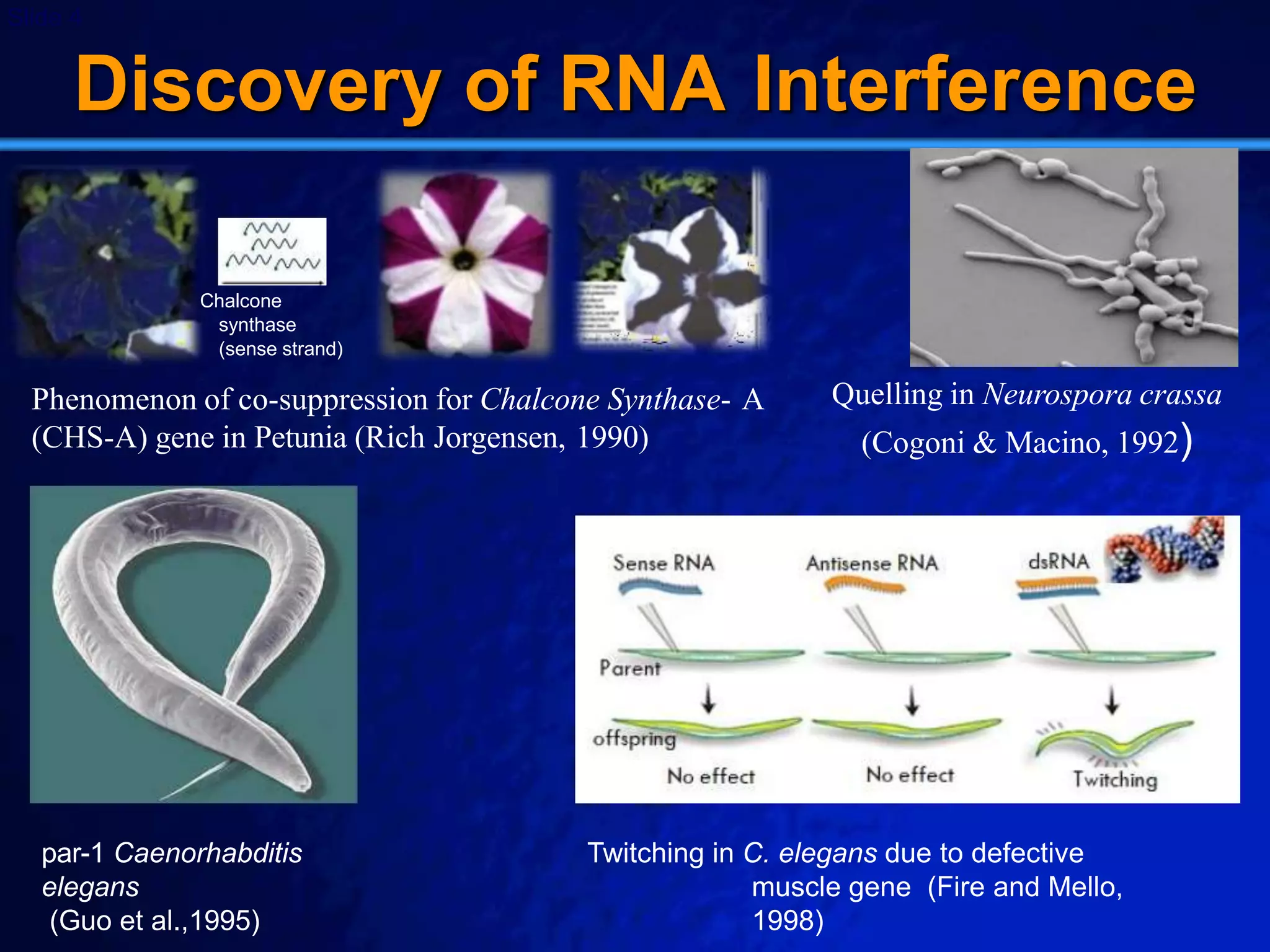 RNA interference in insect pest management (RNAi in ipm) | PPT
