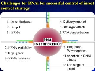 RNA interference in insect pest management (RNAi in ipm) | PPT