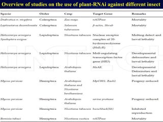 RNA interference in insect pest management (RNAi in ipm) | PPT