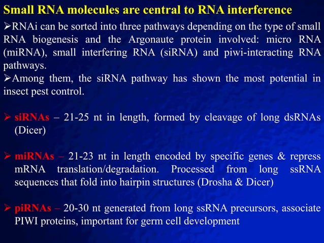 Rna Interference In Insect Pest Management Rnai In Ipm Ppt Beekeeping Hobbies And Interests