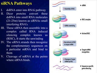 RNA interference in insect pest management (RNAi in ipm) | PPT