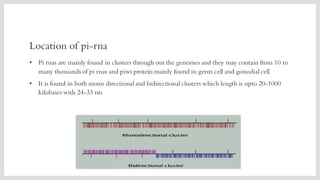 RNA interference_Pi-RNA. IN MOLECULAR BIOLOGY pdf | PPT