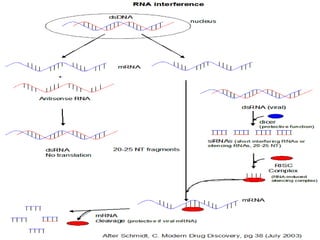 RNA interference (RNAi) | PPTX