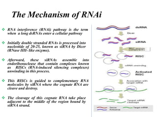 RNA interference (RNAi) | PPTX