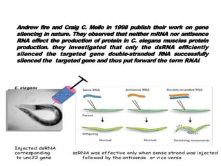 RNA interference (RNAi) | PPTX