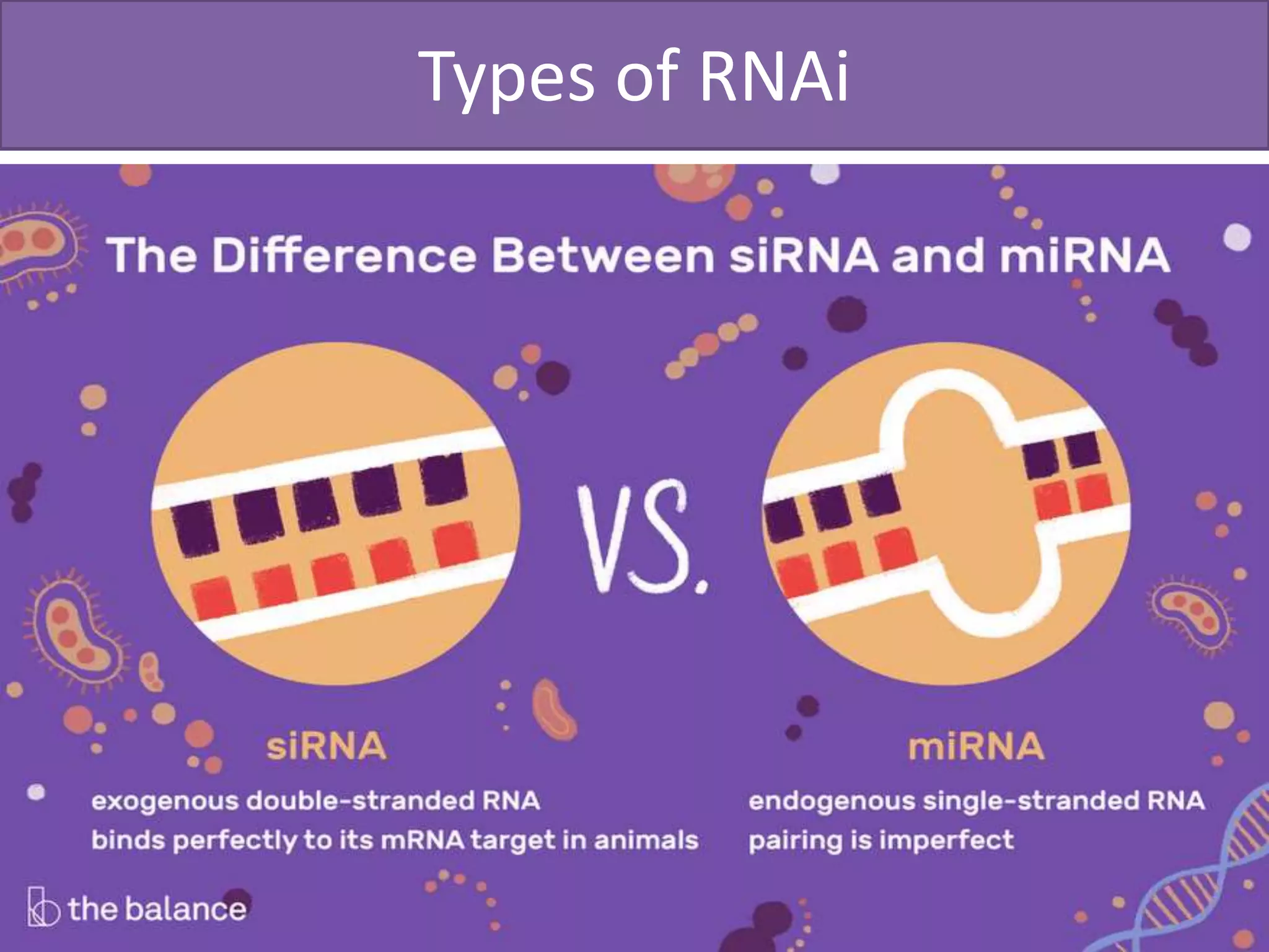 Rna interference (rn ai) | PPTX | Biological Sciences | Science