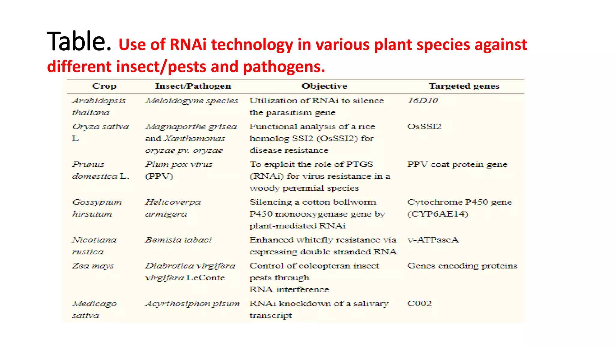 RNA interference (RNAi) in plants | PPTX