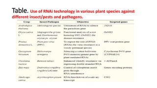 RNA interference (RNAi) in plants | PPTX