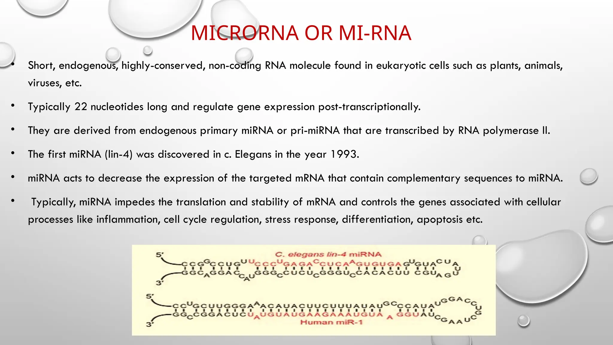 RNA INTERFERENCE ( SI-RNA ^0 mi-RNA ) (1).pptx