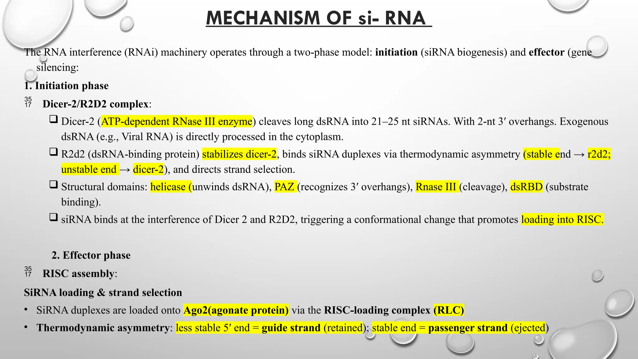 RNA INTERFERENCE ( SI-RNA ^0 mi-RNA ) (1).pptx