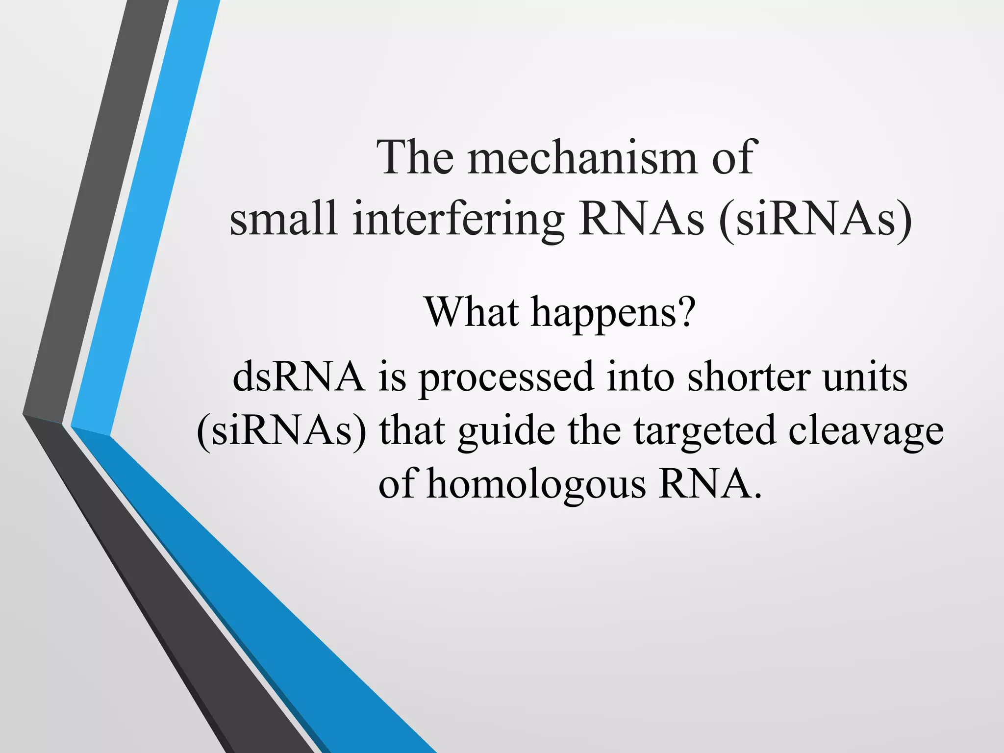 RNA Interference technology | PPT
