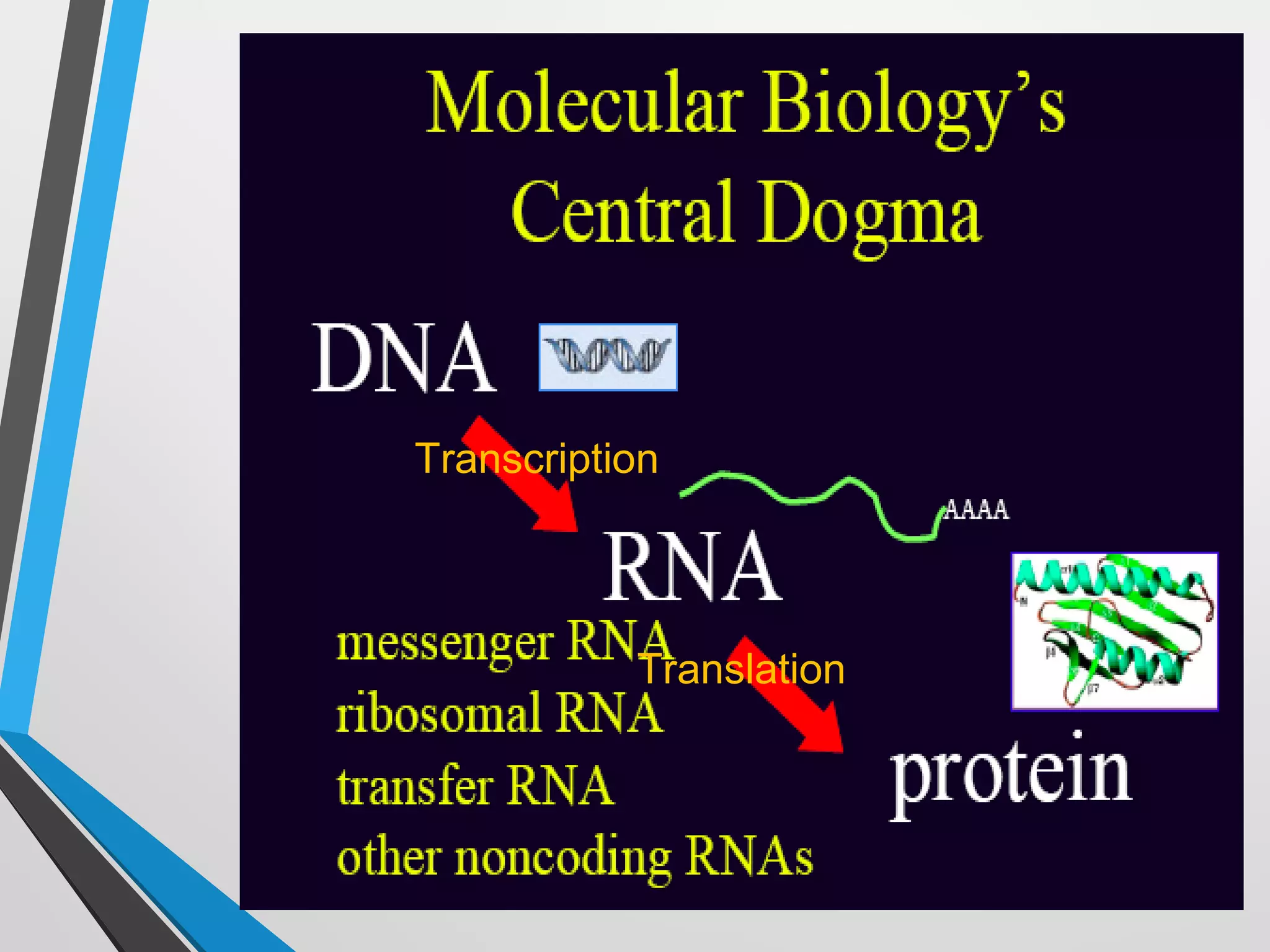RNA Interference technology | PPT