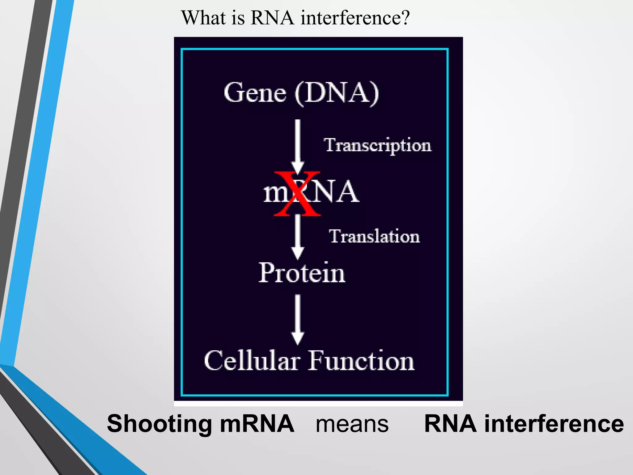 RNA Interference technology | PPT