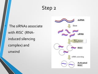 RNA Interference technology | PPT