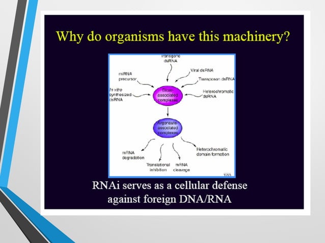 RNA Interference technology | PPT | Genetics | Science