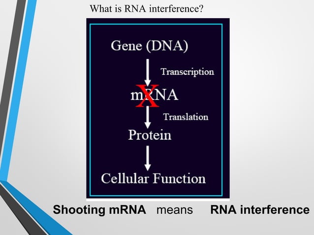 RNA Interference technology | PPT | Genetics | Science