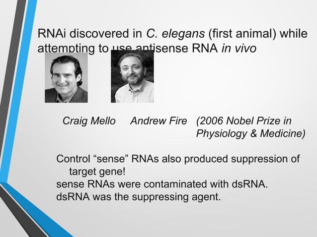 RNA Interference technology | PPT | Genetics | Science