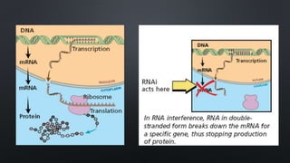 RNA interference technology fisheries and aquaculture | PPTX | Genetics | Science