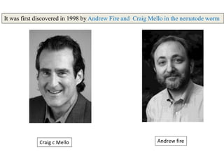 Rna interfernce | PPTX