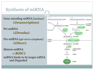 RNA interfernce | PPT